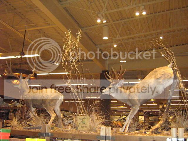 Calgary Bass Pro Shop!!