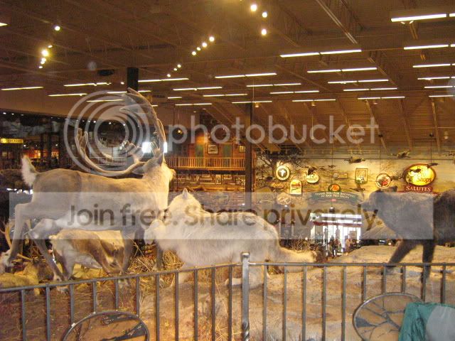 Calgary Bass Pro Shop!!