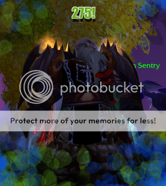 WTS 2 Acc. INSANE Orc BM Hunter! and an amazing geared Dwarf tank ...