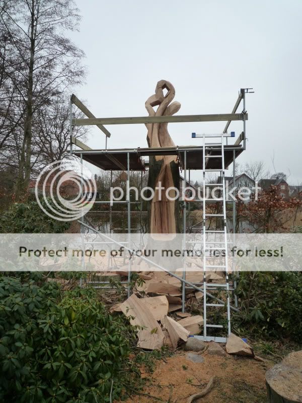 T(h)ree Monkeys | Arborist, Chainsaw & Tree Work Forum