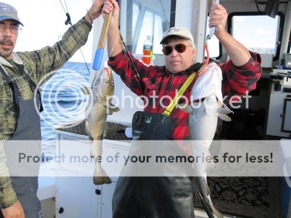 COD COD and More COD | BASS BARN