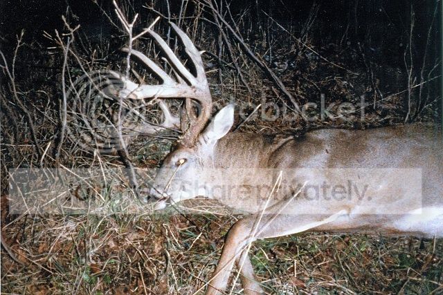 New potential state record typical | Ohio Sportsman - Your Ohio Hunting ...