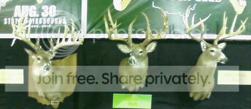 New potential state record typical | Ohio Sportsman - Your Ohio Hunting ...